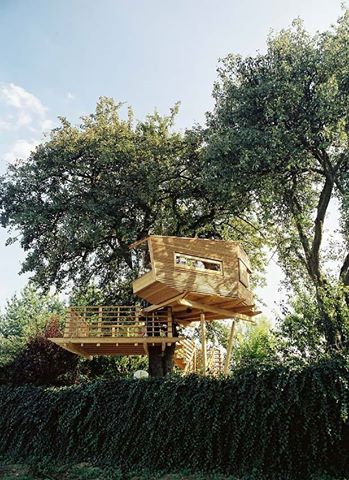 Grow Trees