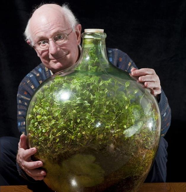 David Latimer's 53-Year Sealed Terrarium Experiment